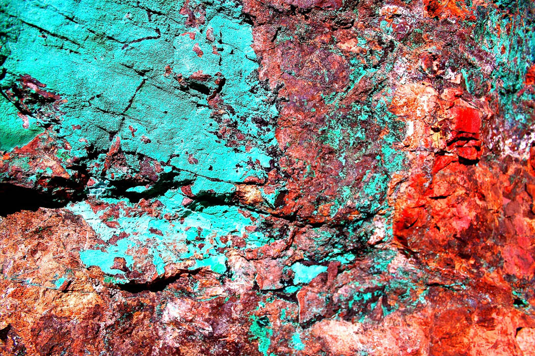 Towards An Environmental Ethic of Specificity – EcoTheo Review