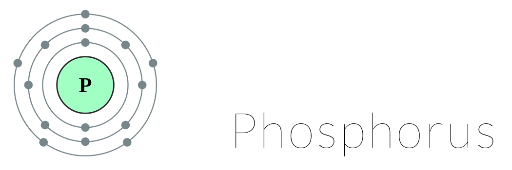 Phosphorus, fish, and our food – EcoTheo Review