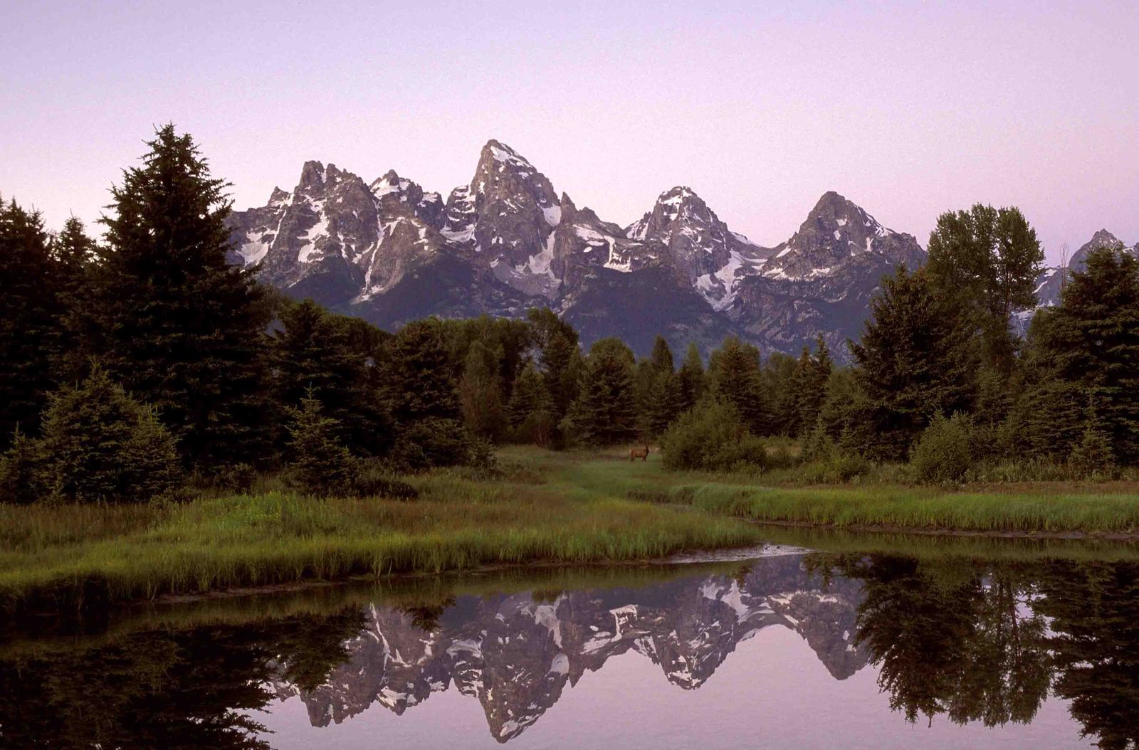 Remembering Tom Barnes – EcoTheo Review