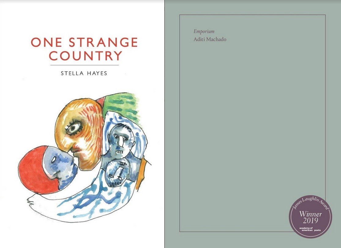 Strange Countries – EcoTheo Review