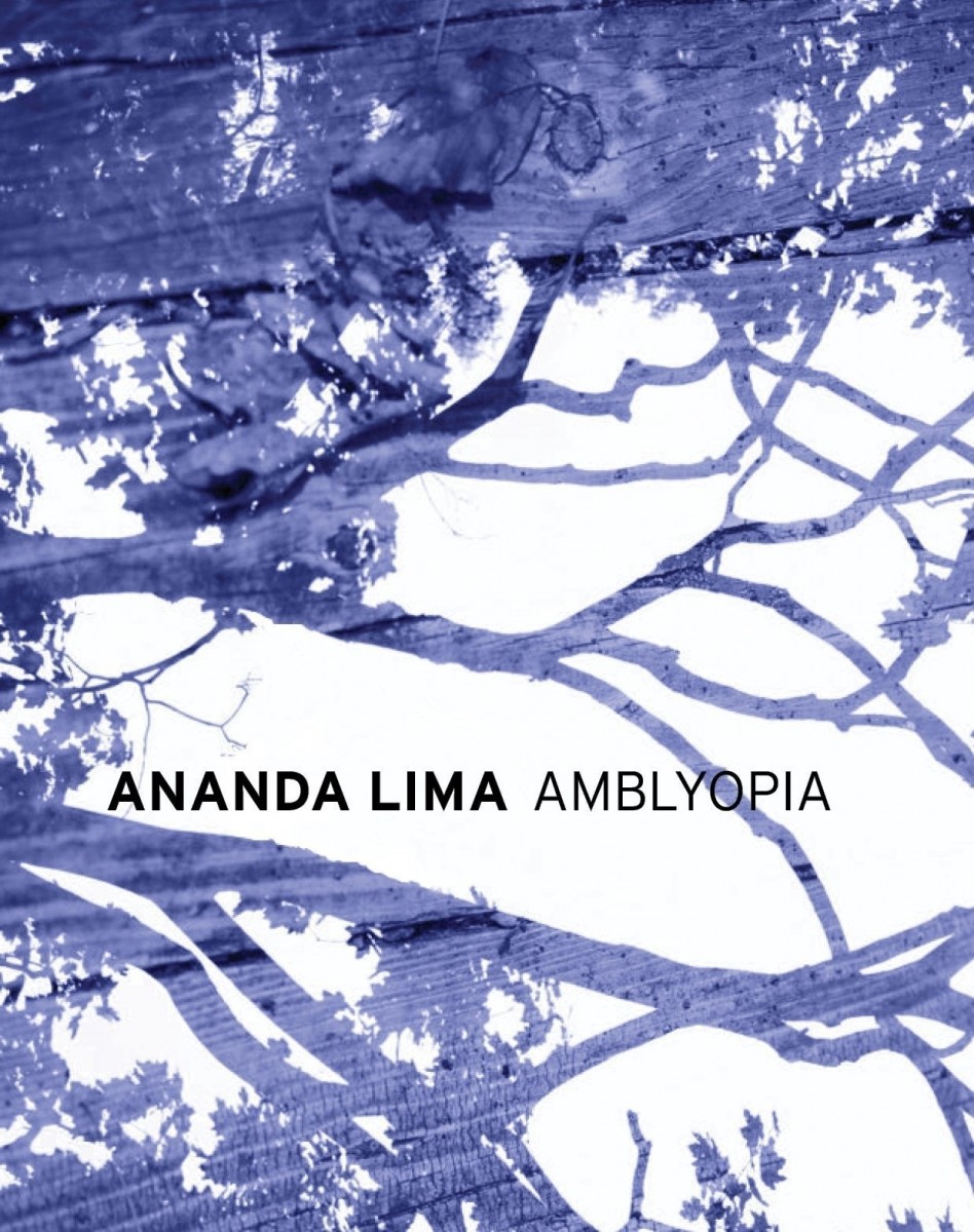 The Twoness of Truth: A Review of Ananda Lima’s Amblyopia – EcoTheo Review